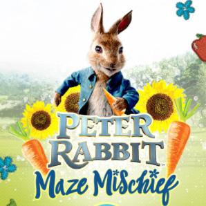 Peter Rabbit Maze - Navigate in the maze to collect carrots